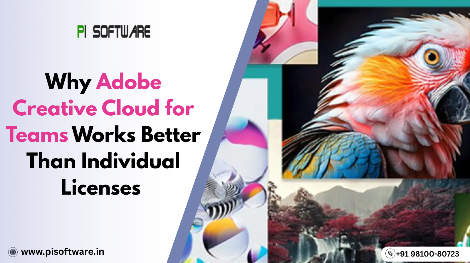 Adobe Creative Cloud for Teams vs Individual Licenses